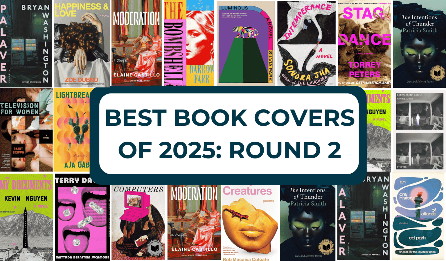 Electric Lit’s Best Short Story Collections of 2024 - Electric Literature